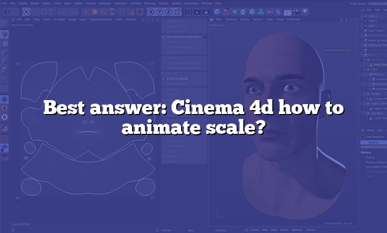 Best answer: Cinema 4d how to animate scale? - CADdikt