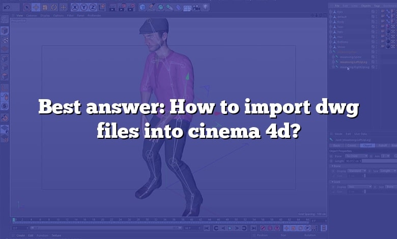 Best answer: How to import dwg files into cinema 4d? - CADdikt