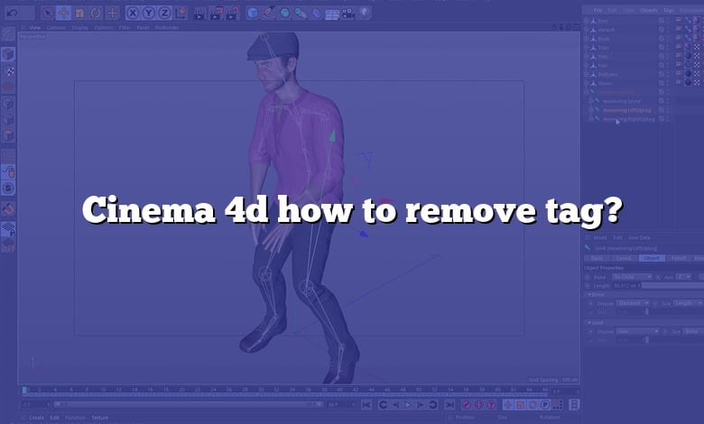 Cinema 4d how to remove tag? - CADdikt