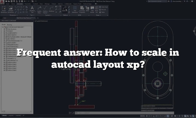 Frequent answer: How to scale in autocad layout xp? - CADdikt