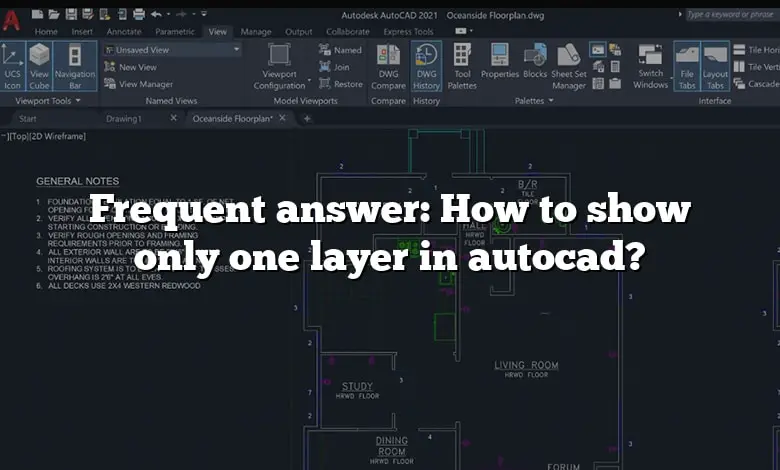 Frequent answer: How to show only one layer in autocad? - CADdikt