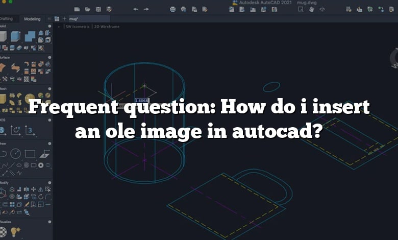 Frequent question: How do i insert an ole image in autocad? - CADdikt
