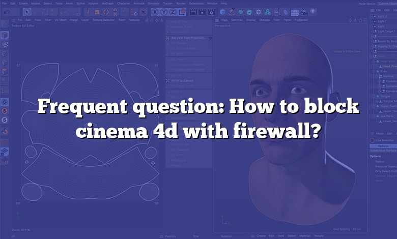 Frequent question: How to block cinema 4d with firewall? - CADdikt