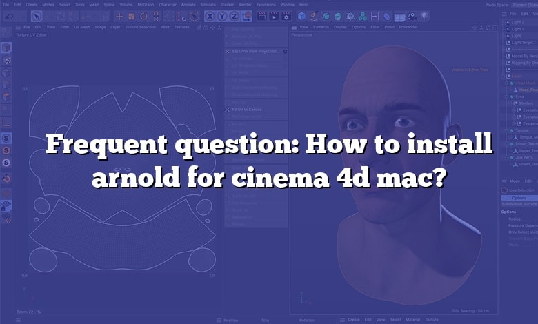 Frequent question: How to install arnold for cinema 4d mac? - CADdikt
