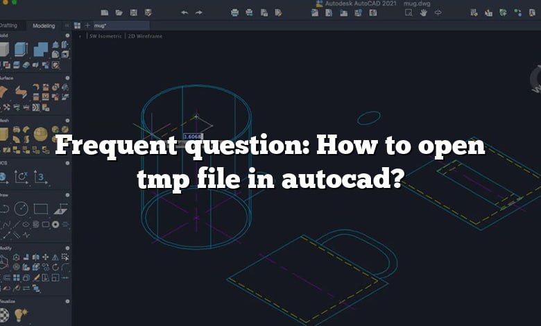 Frequent question: How to open tmp file in autocad? - CADdikt