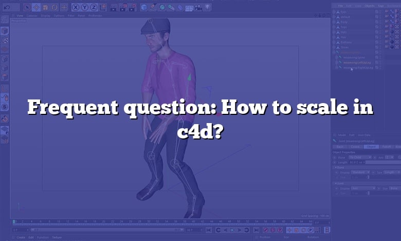 Frequent question: How to scale in c4d? - CADdikt