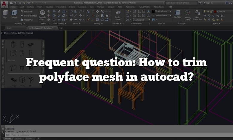 Frequent question: How to trim polyface mesh in autocad? - CADdikt