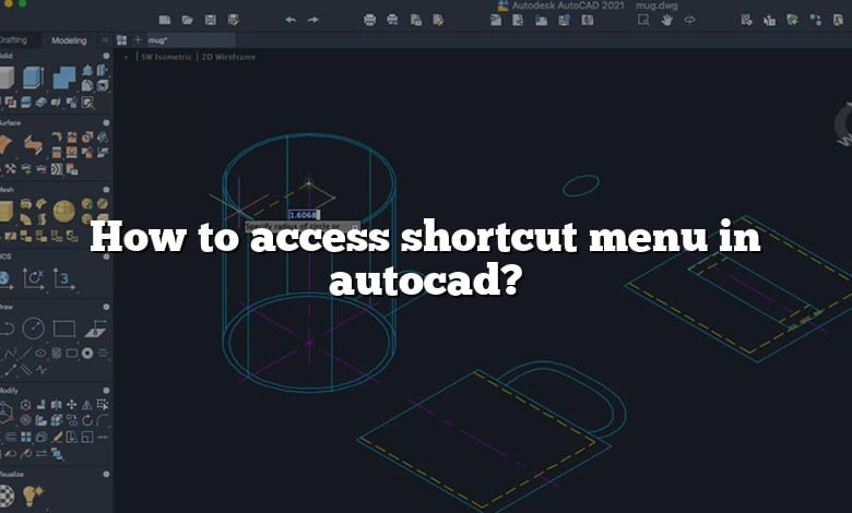 How to access shortcut menu in autocad? - CADdikt