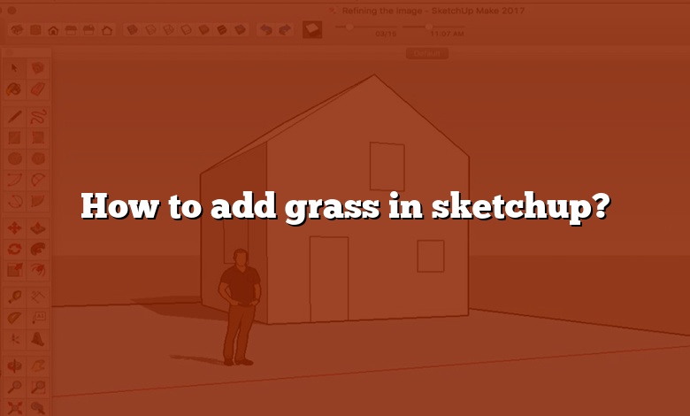 How to add grass in sketchup? - CADdikt