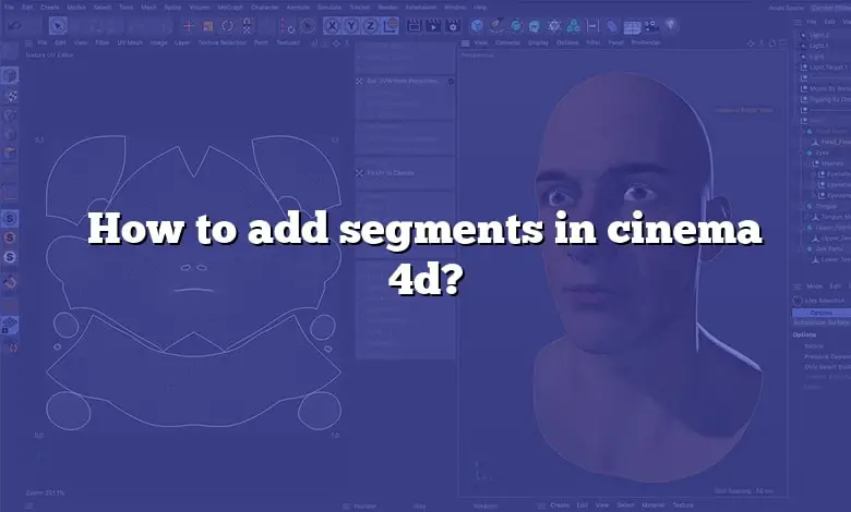 How to add segments in cinema 4d? - CADdikt