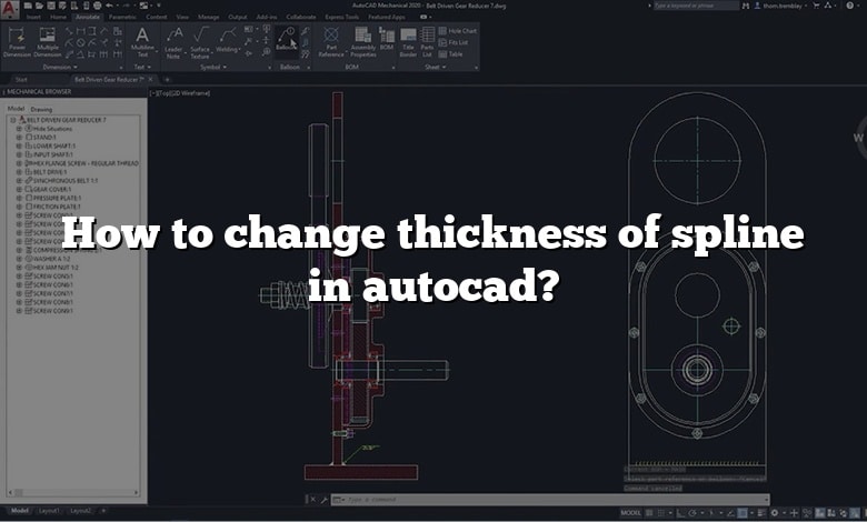 How to change thickness of spline in autocad? - CADdikt