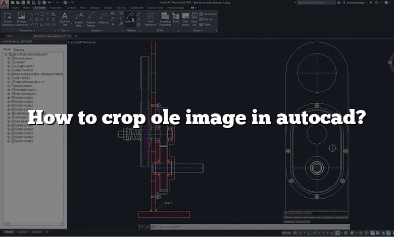 How to crop ole image in autocad? - CADdikt