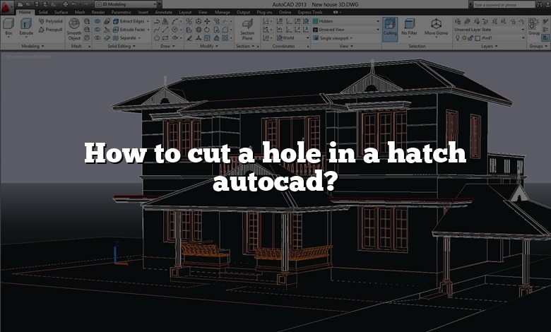 How to cut a hole in a hatch autocad? - CADdikt