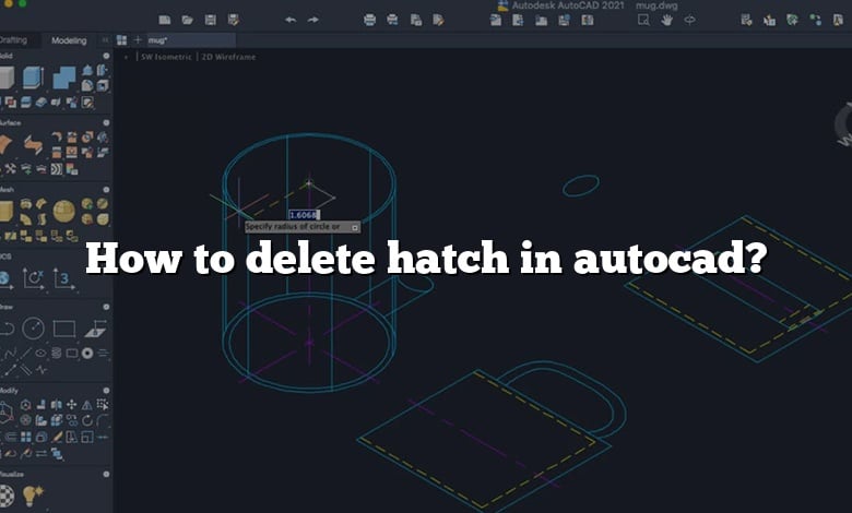 How to delete hatch in autocad? - CADdikt