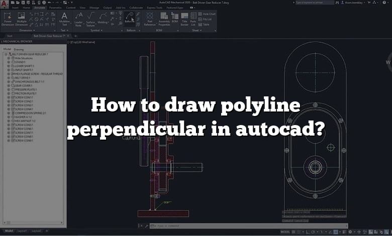 How to draw polyline perpendicular in autocad? - CADdikt