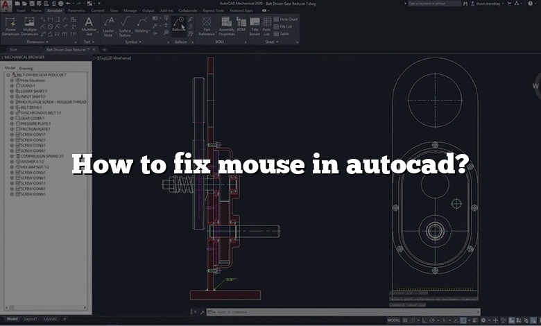 How to fix mouse in autocad? - CADdikt