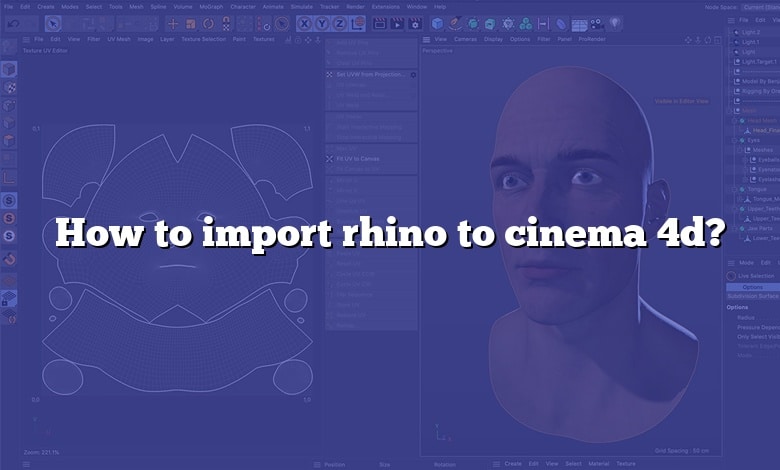 How to import rhino to cinema 4d? - CADdikt