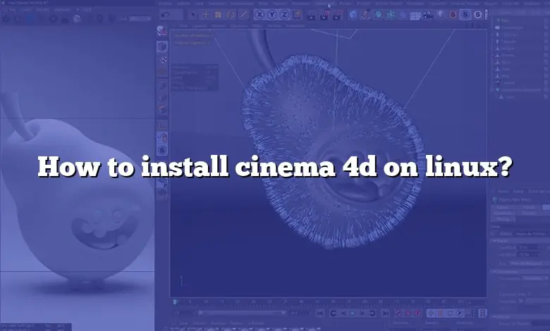 How to install cinema 4d on linux? - CADdikt