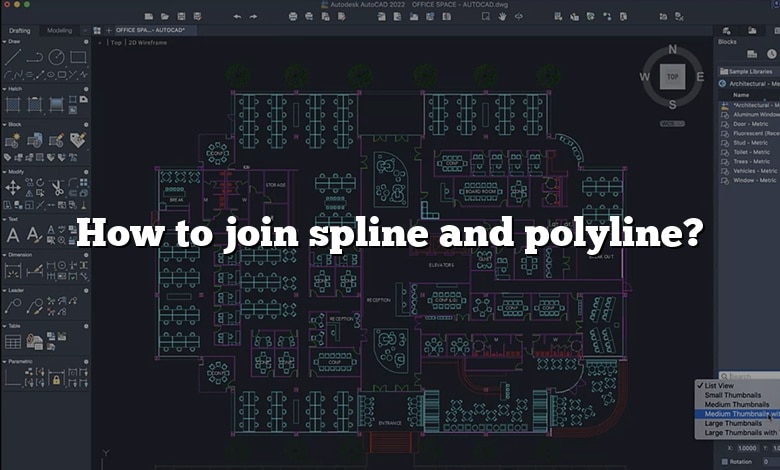 How to join spline and polyline? - CADdikt