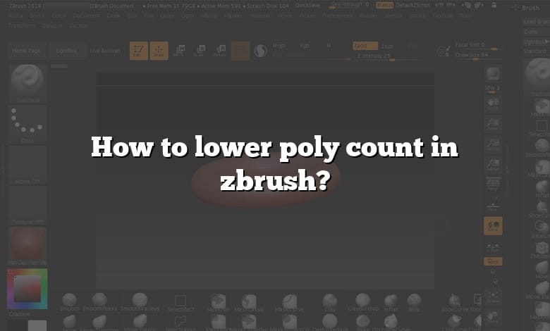 How to lower poly count in zbrush? - CADdikt
