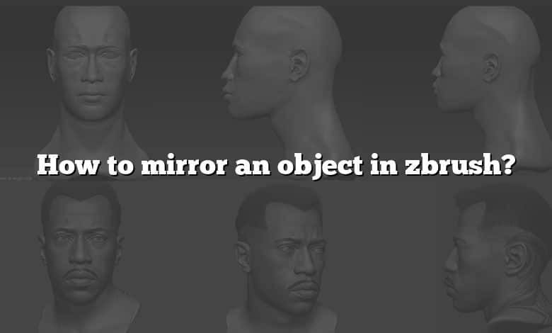 How to mirror an object in zbrush? - CADdikt