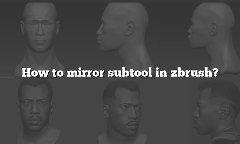 How to mirror subtool in zbrush? - CADdikt