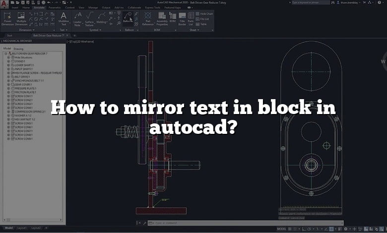 How to mirror text in block in autocad? - CADdikt