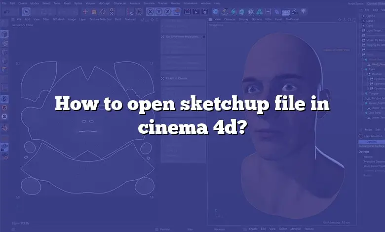 How to open sketchup file in cinema 4d? - CADdikt
