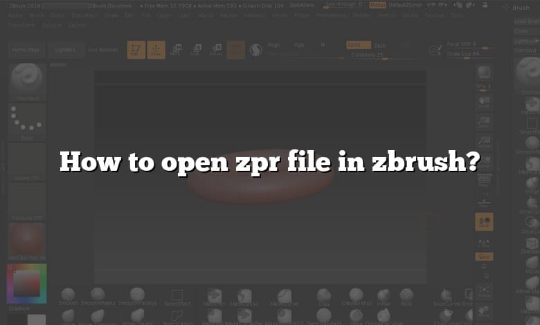 How to open zpr file in zbrush? - CADdikt