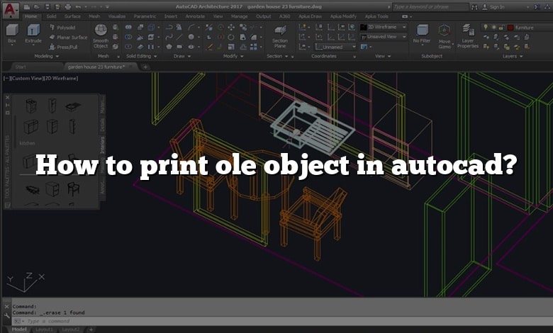 How to print ole object in autocad? - CADdikt