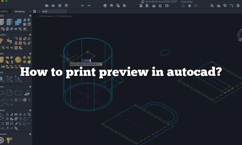 How to print preview in autocad? - CADdikt