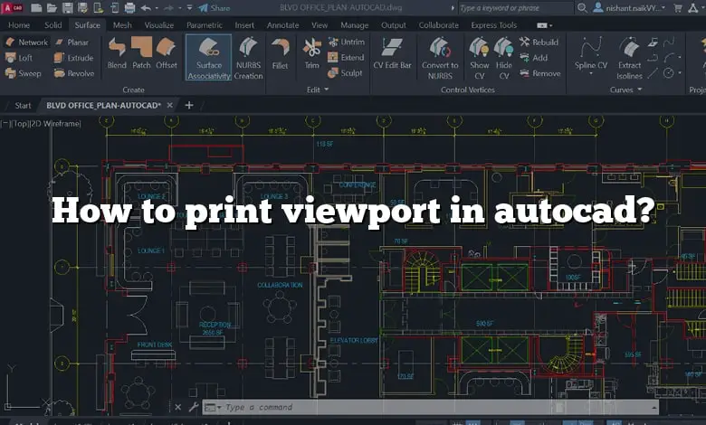 How to print viewport in autocad? - CADdikt