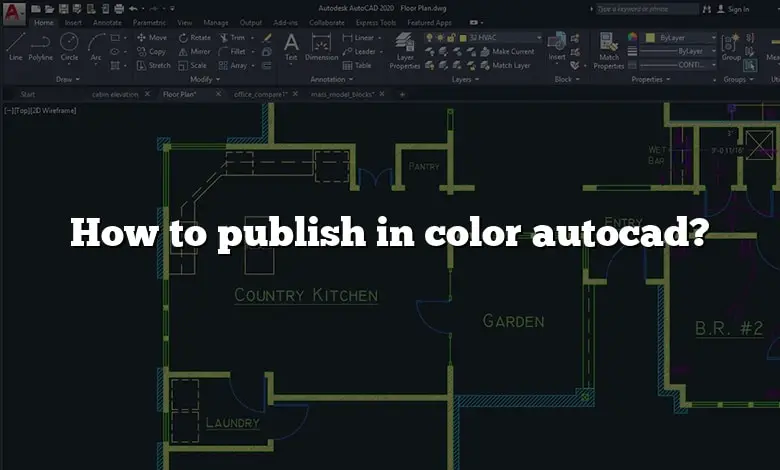 How to publish in color autocad? - CADdikt
