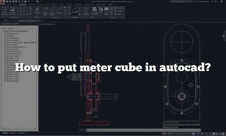 How to put meter cube in autocad? - CADdikt