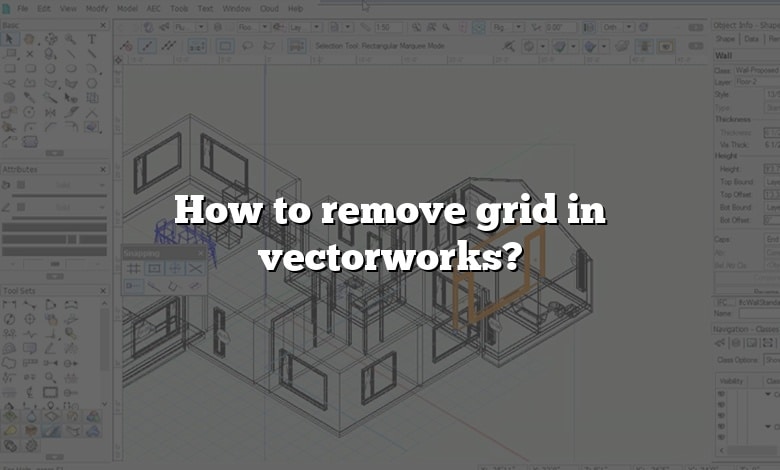 How to remove grid in vectorworks? - CADdikt