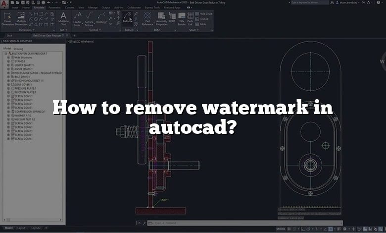 How to remove watermark in autocad? - CADdikt