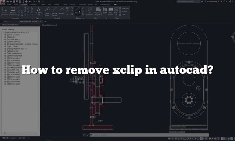 How to remove xclip in autocad? - CADdikt