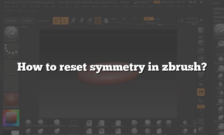 How to reset symmetry in zbrush? - CADdikt