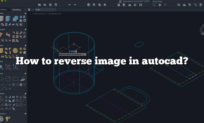 How to reverse image in autocad? - CADdikt
