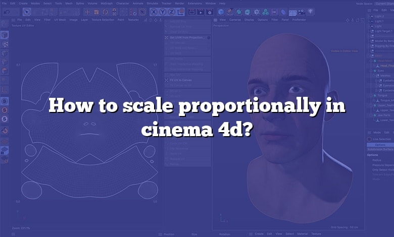 How to scale proportionally in cinema 4d? - CADdikt