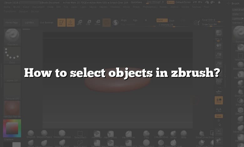 How to select objects in zbrush? - CADdikt