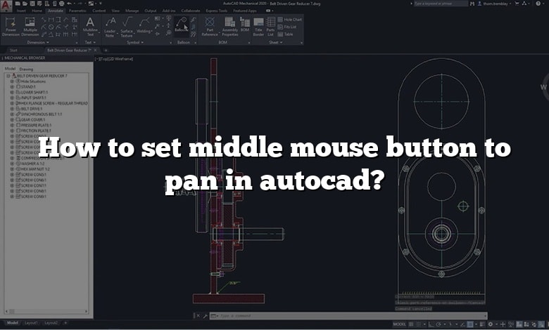 How to set middle mouse button to pan in autocad? - CADdikt