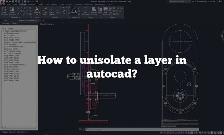 How to unisolate a layer in autocad? - CADdikt