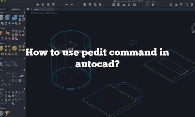 How to use pedit command in autocad? - CADdikt