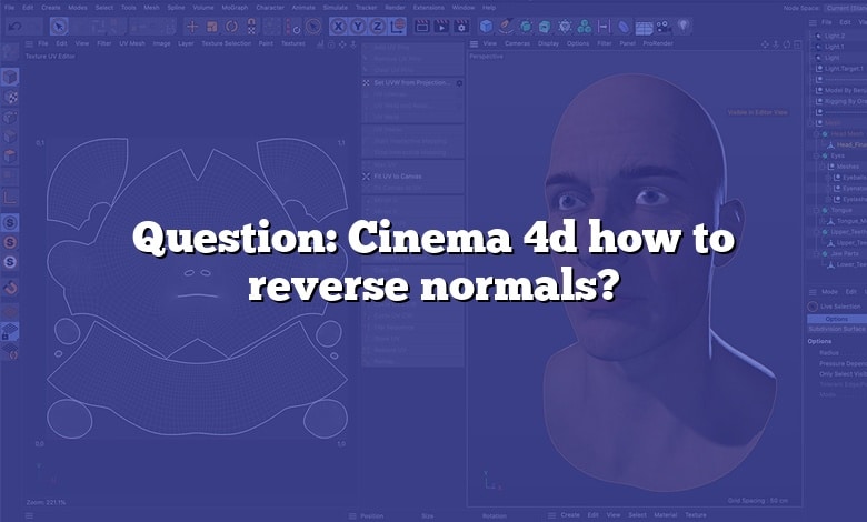 Question: Cinema 4d how to reverse normals? - CADdikt