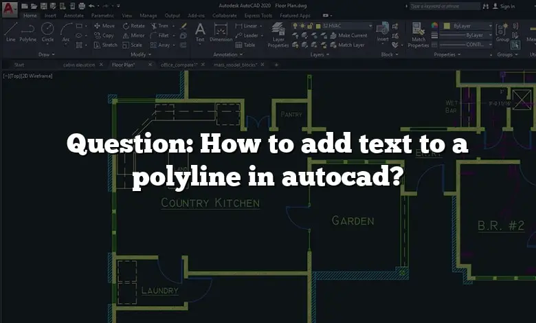Question: How to add text to a polyline in autocad? - CADdikt