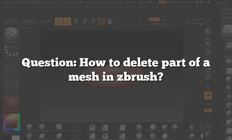 Question: How to delete part of a mesh in zbrush? - CADdikt