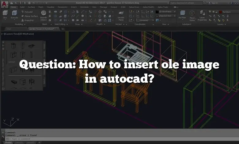 Question: How to insert ole image in autocad? - CADdikt