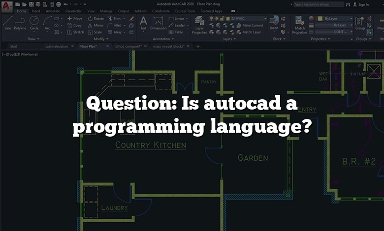 Question Is Autocad A Programming Language Caddikt