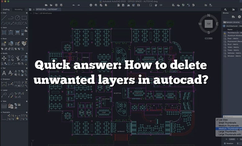 Quick answer: How to delete unwanted layers in autocad? - CADdikt
